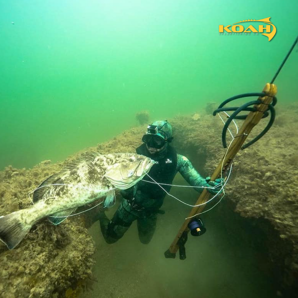 Koah Standard Fatback – Koah Spearfishing Company